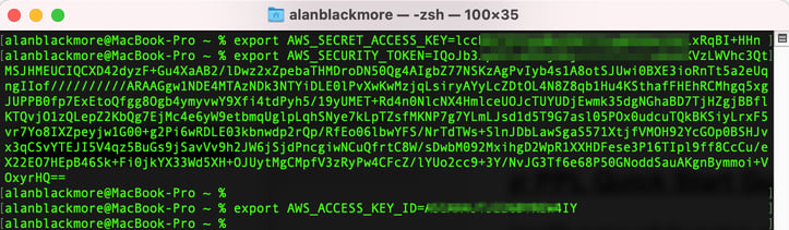 What is AWS Security Token Service (STS)?