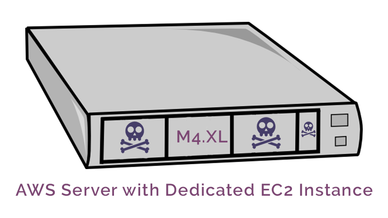 What are Dedicated AWS EC2 Instances?